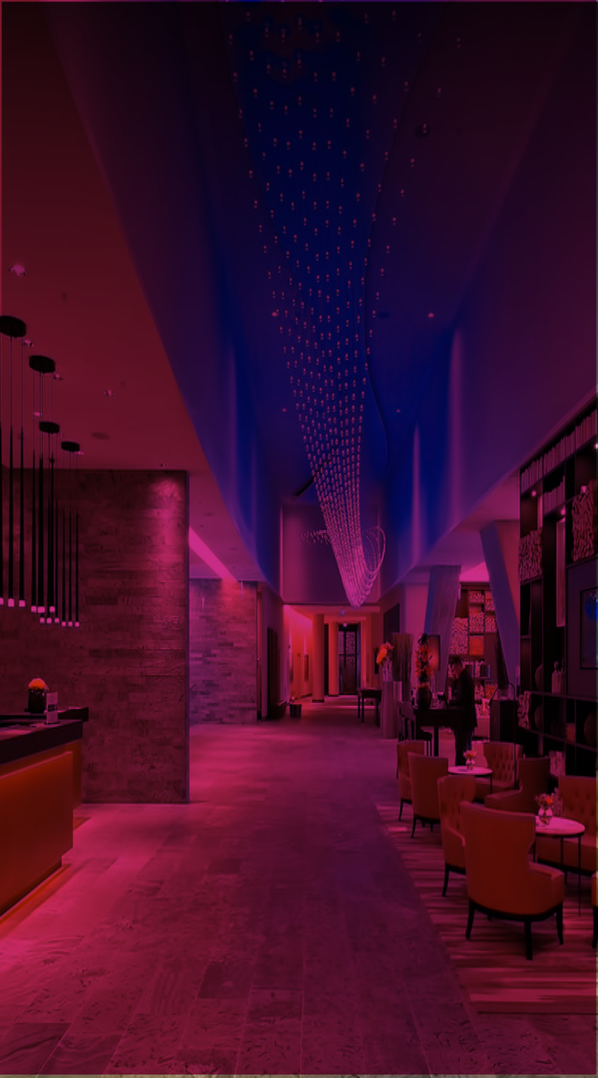 Delivering magic brand moments - Avinity